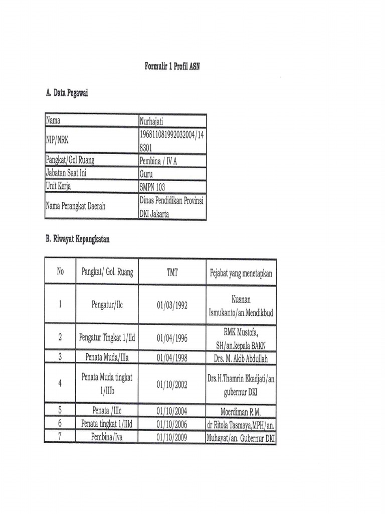 Profil Asn Nurhajati | PDF
