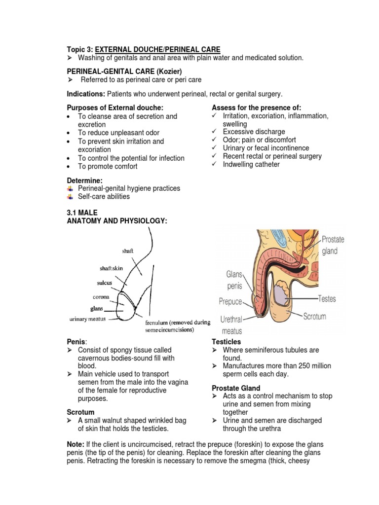 External Douche (Lecture) | PDF | Labia | Vagina
