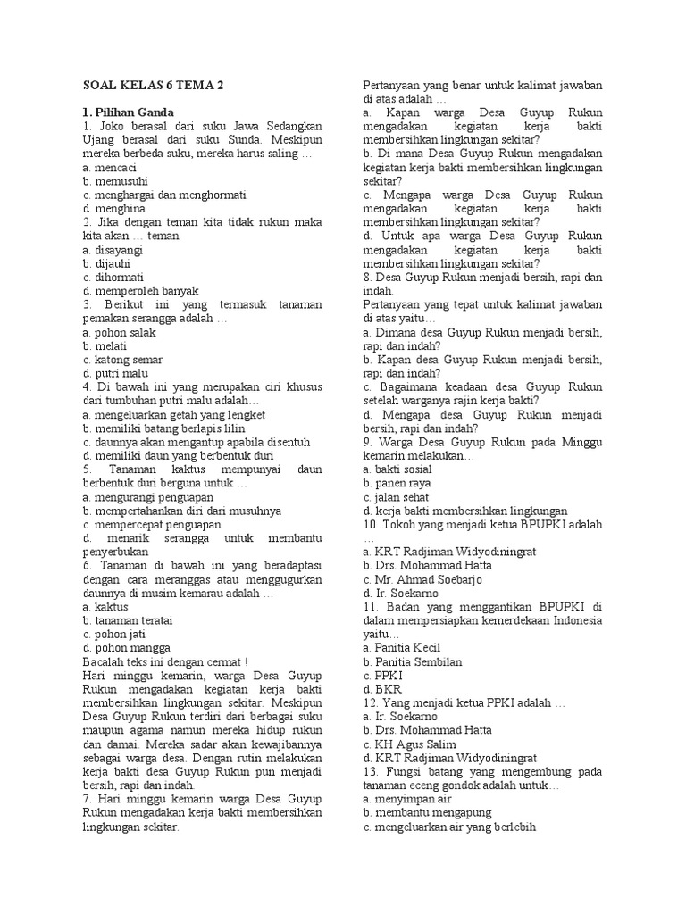 Tema 2 Subtema 1 | PDF