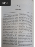 Avocado Stages of Ripeness Chart | PDF | Avocado | Edible Fruits
