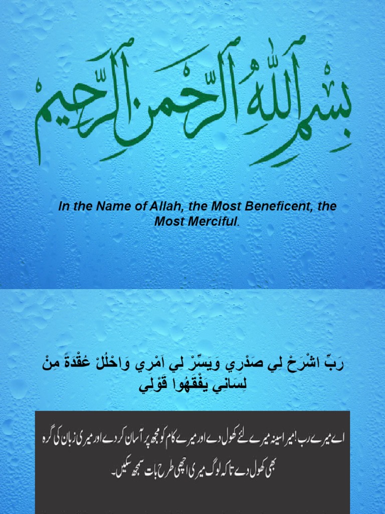 Cable Structures 8 | Download Free PDF | Bridge | Beam (Structure)