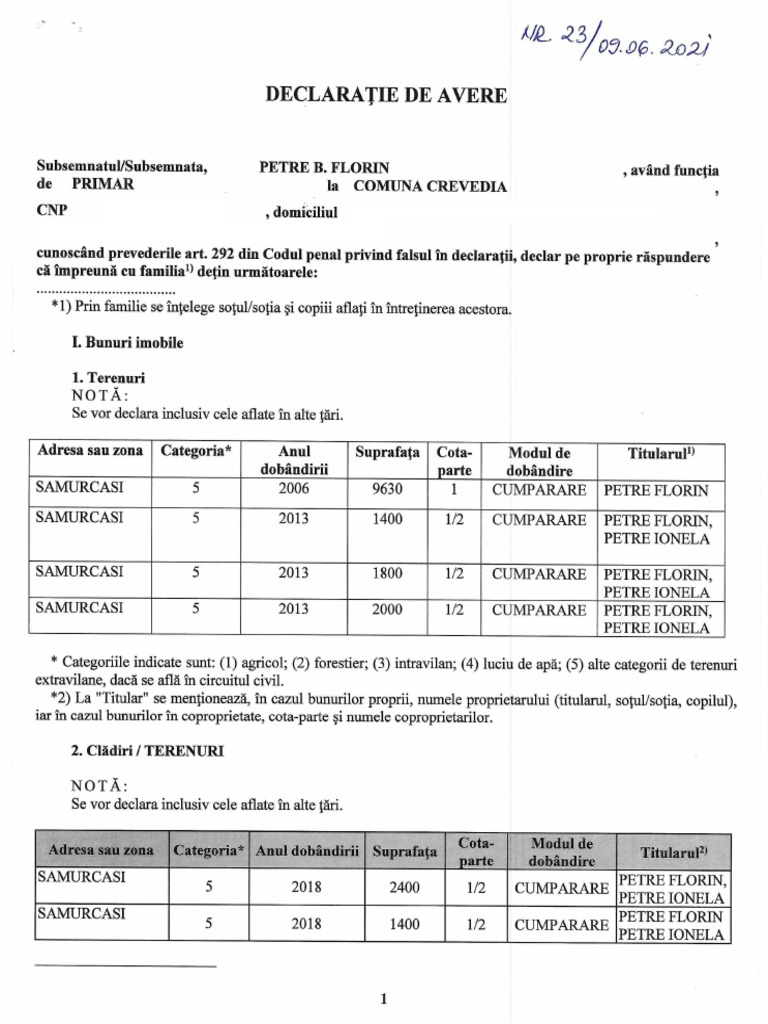 Declaratie de Avere Petre Florin | PDF