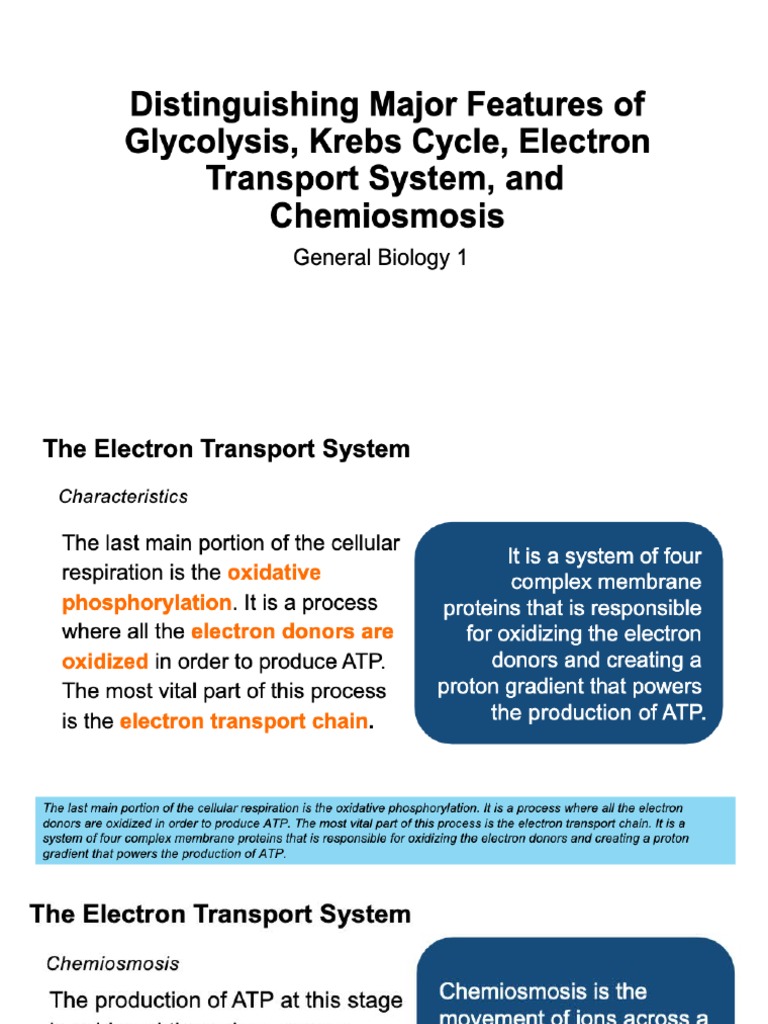 Describing The Role of Oxygen in Respiration and Describe Pathways of ...