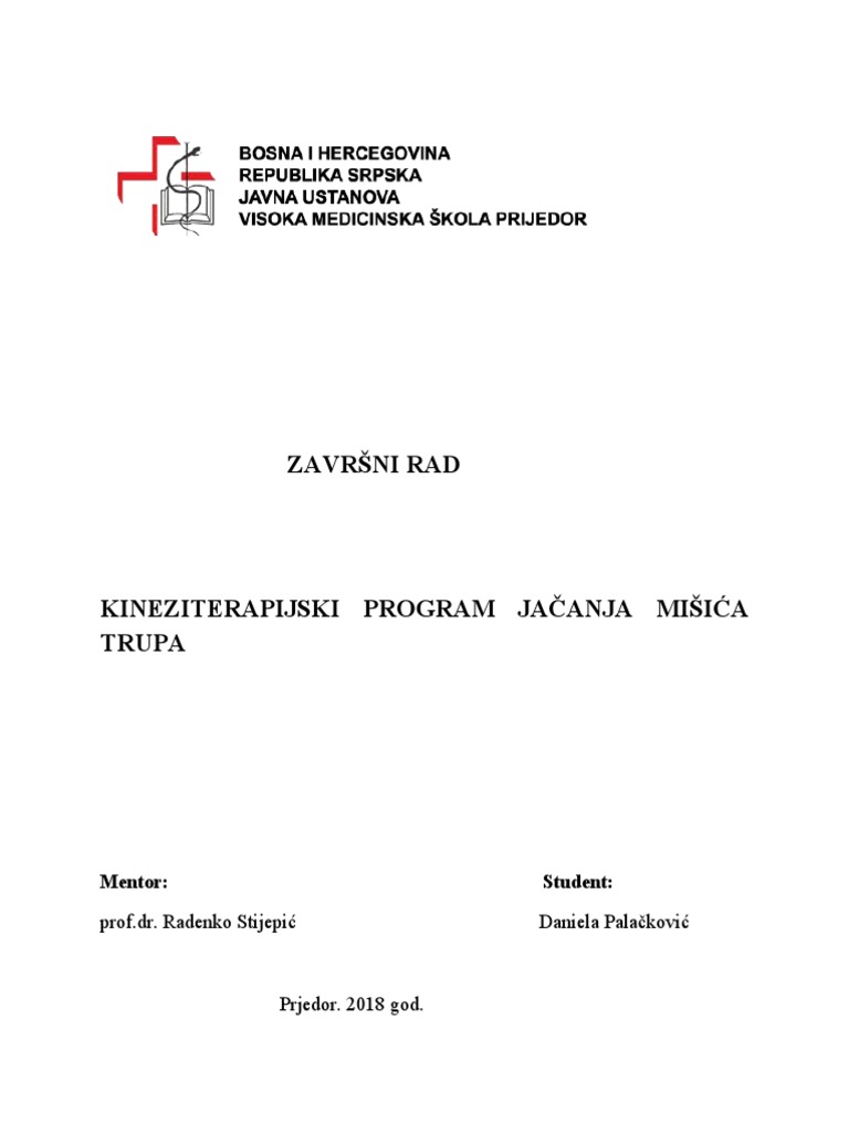 Završni Rad - Ispravka 2 | PDF