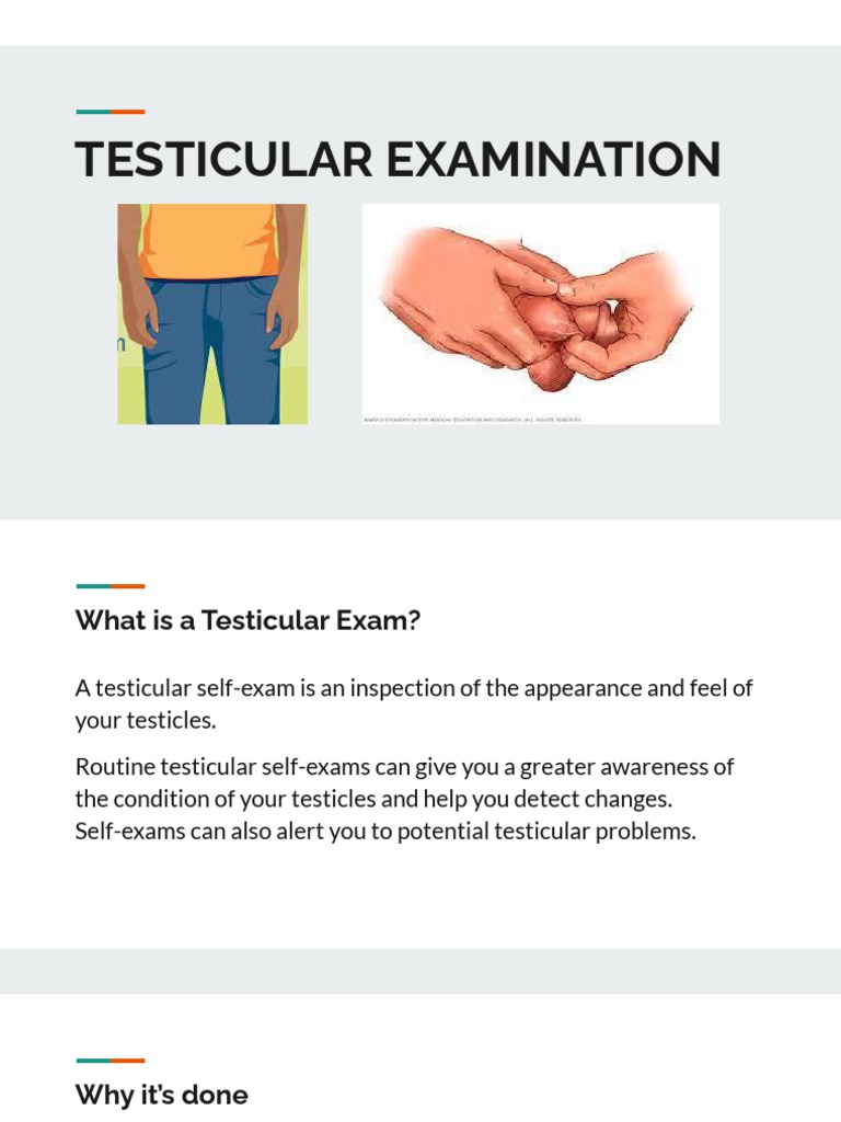 Testicular Examination | PDF | Wellness | Lifestyle