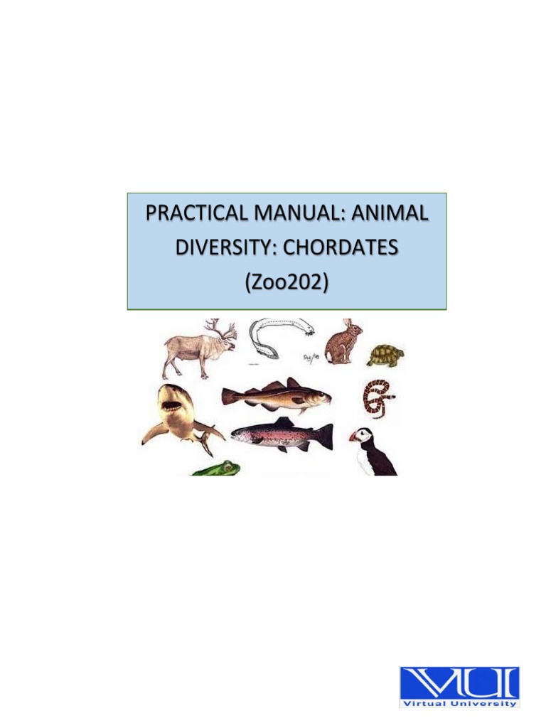 Zoo202 Practical Manual | PDF | Frog | Zoology
