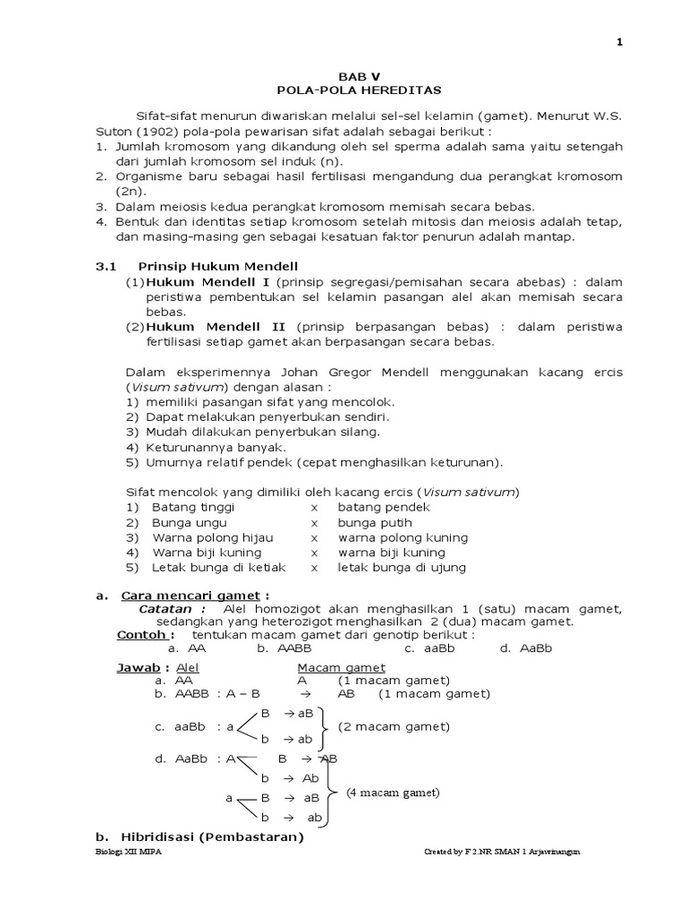 Pola-Pola Hereditas | PDF