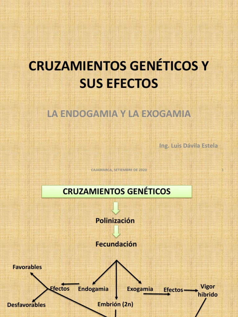 Cruzamientos Genéticos | PDF | Flores | Organismos