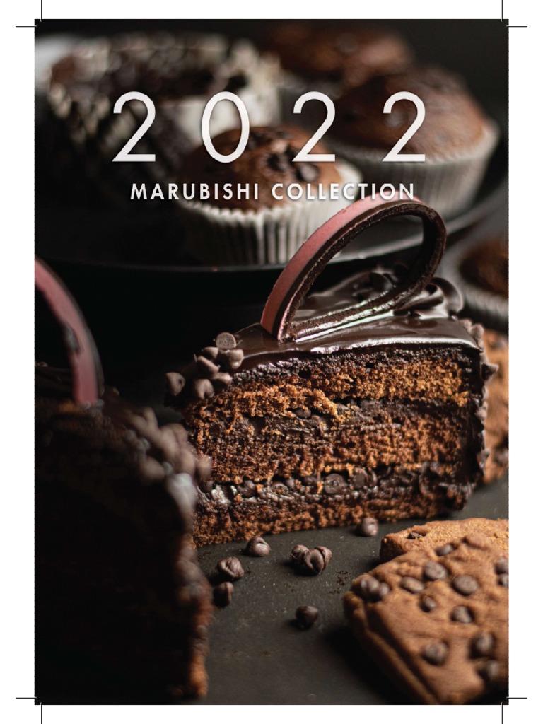Marubishi Catalogue | PDF