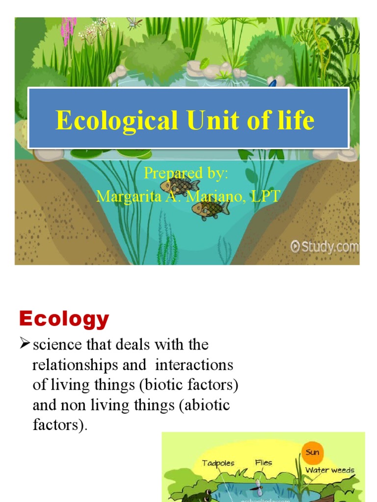 Ecological Unit of Life | PDF