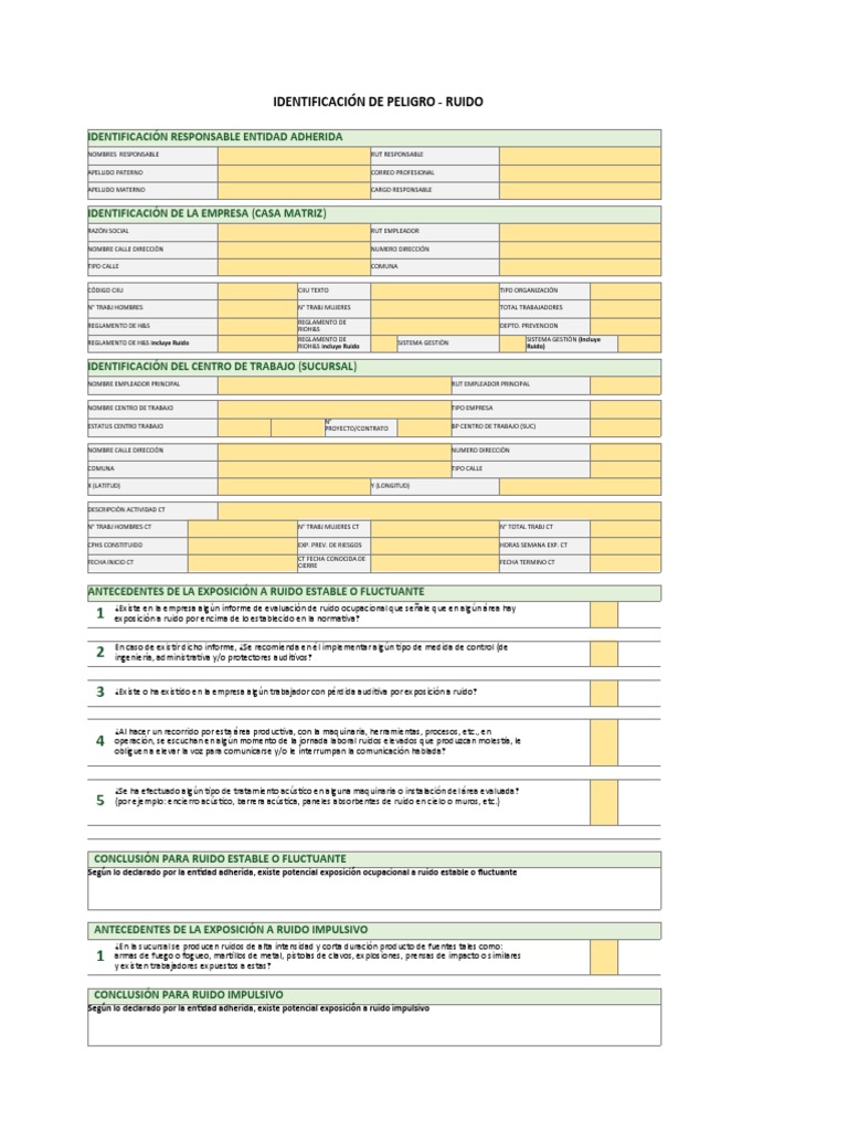 Copia de IDENTIFICACIÓN DE PELIGRO RUIDO (EMPRESA) | PDF
