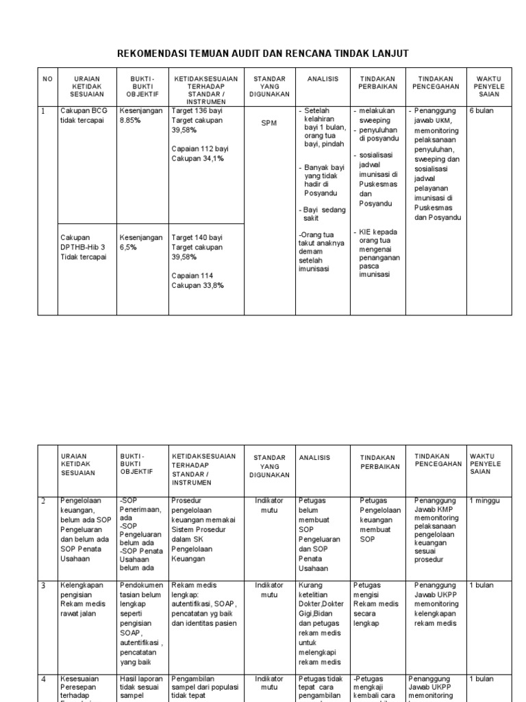 Temuan Audit Internal dan Rencana Tindak Lanjut | PDF