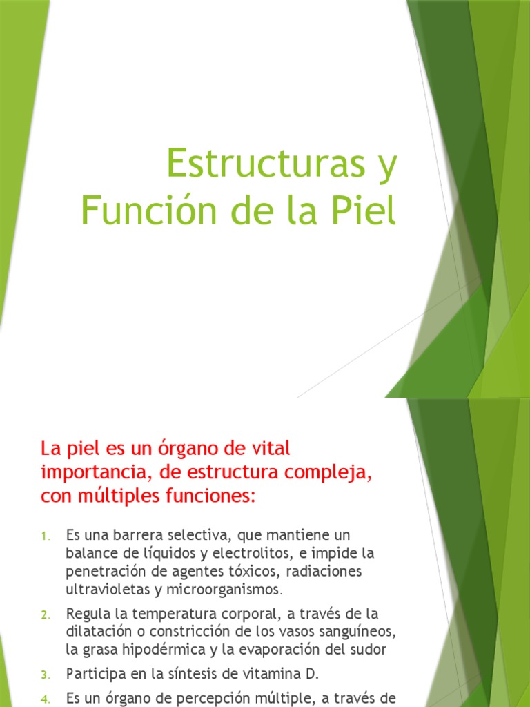 Estructuras y Función de La Piel 2 | PDF