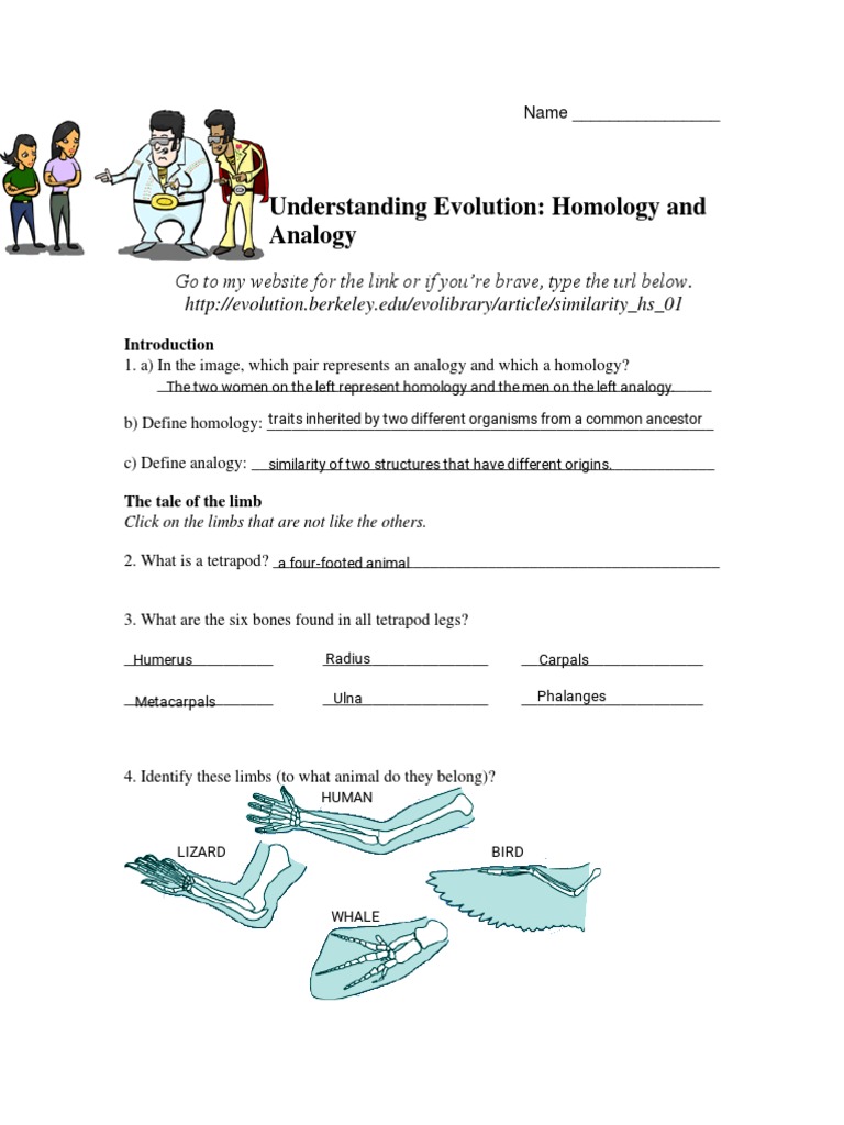 Homology and Analogy Webquest | PDF | Homology (Biology) | Evolutionary ...
