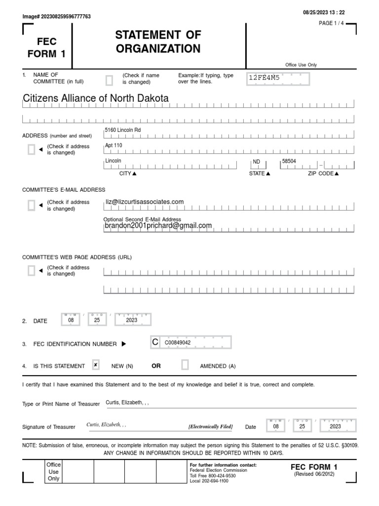 Citizens Alliance Statement of Organization | PDF | Political Action ...