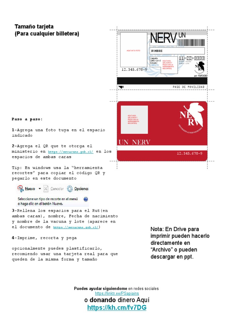 Evangenion Id Nerv Pase de Movilidad | PDF