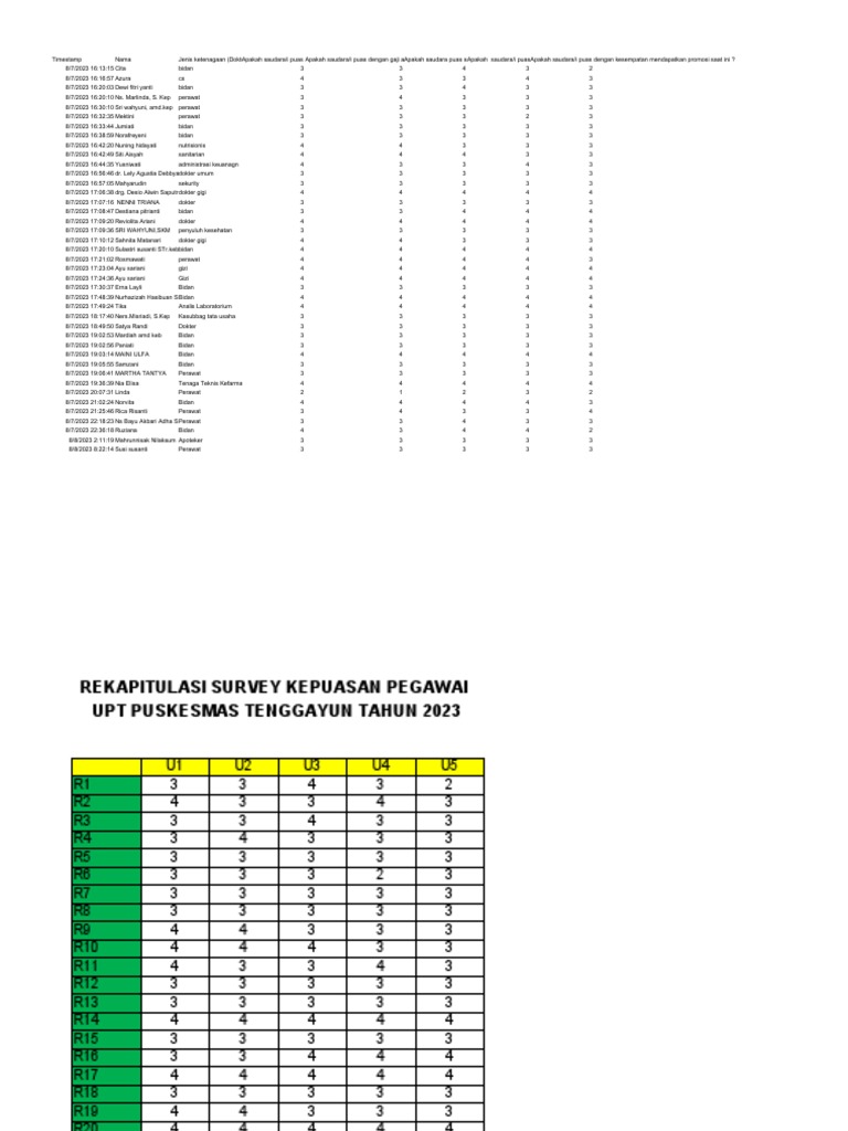 Rekap Survey Pegawai 41 Respond | PDF