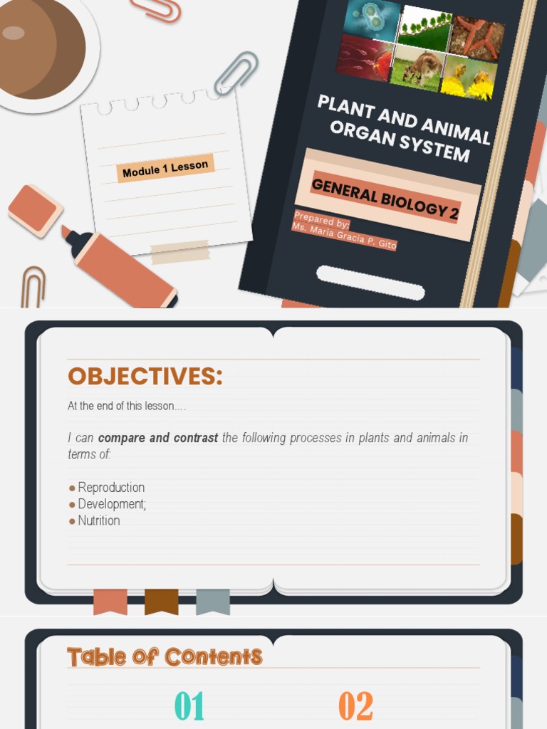 1 Plant and Animal Organ System | PDF | Reproduction | Sexual Reproduction