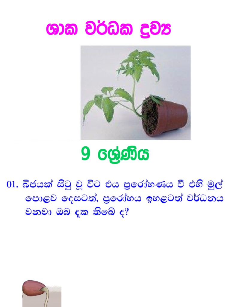 Unit 07 Shaka Wardaka Drawya | PDF