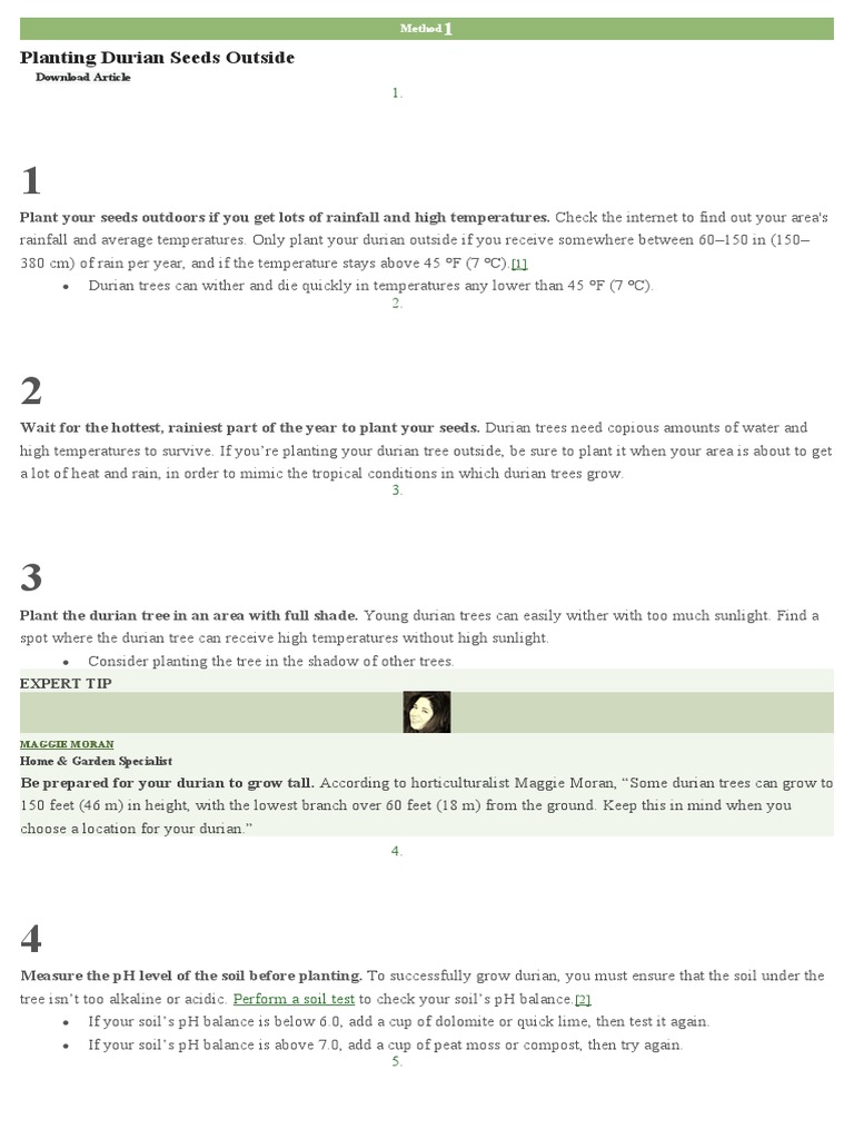 Method1 To Plant Durian | PDF | Cooking, Food & Wine | Home & Garden