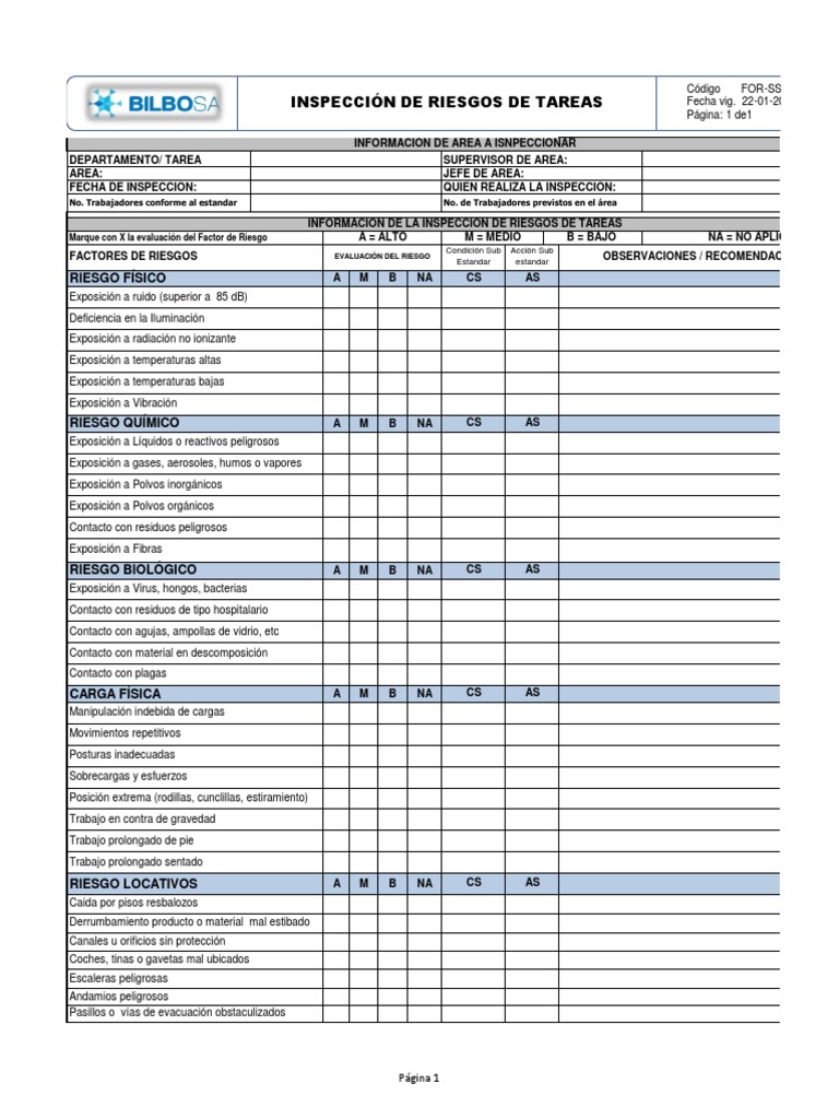 Formato de Inspeccion | PDF