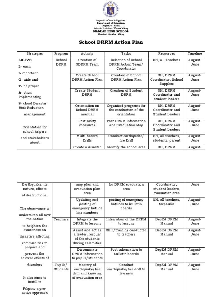 DRRM Action Plan | PDF | Risk Management | Safety