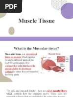 Comprehensive List of 206 Human Bones | PDF | Vertebra | Hand