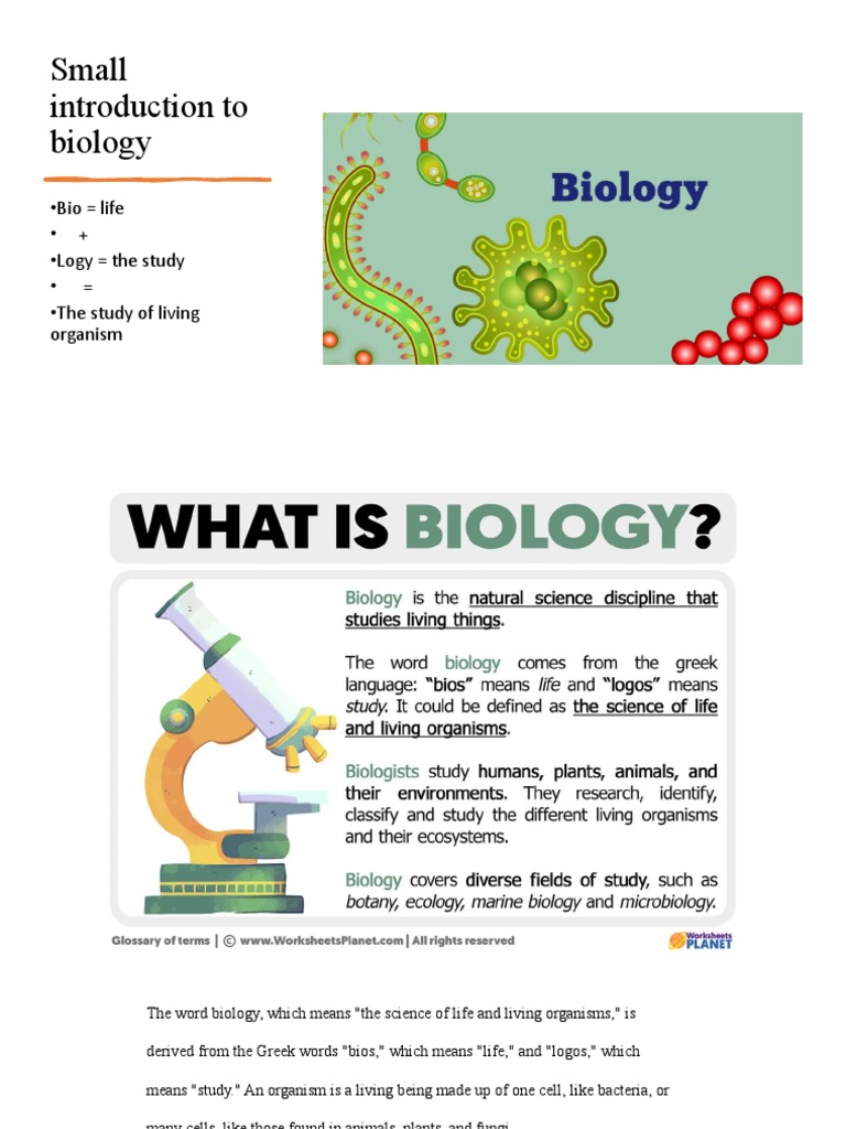 Biology | PDF