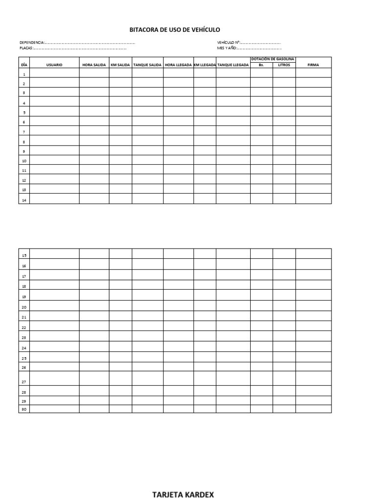 Formato Tarjeta KARDEX | PDF