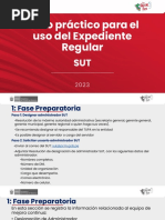 SUT Manual de Usuario | PDF | Administración Pública | Point and Click