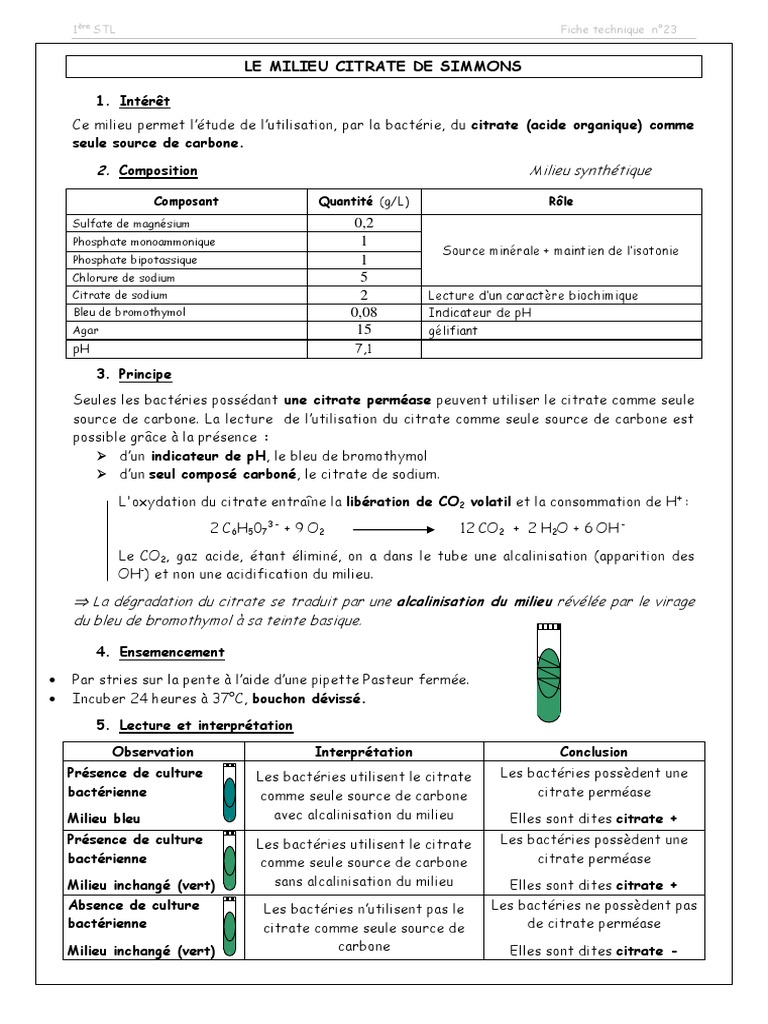 Citrate Simmons1 | PDF