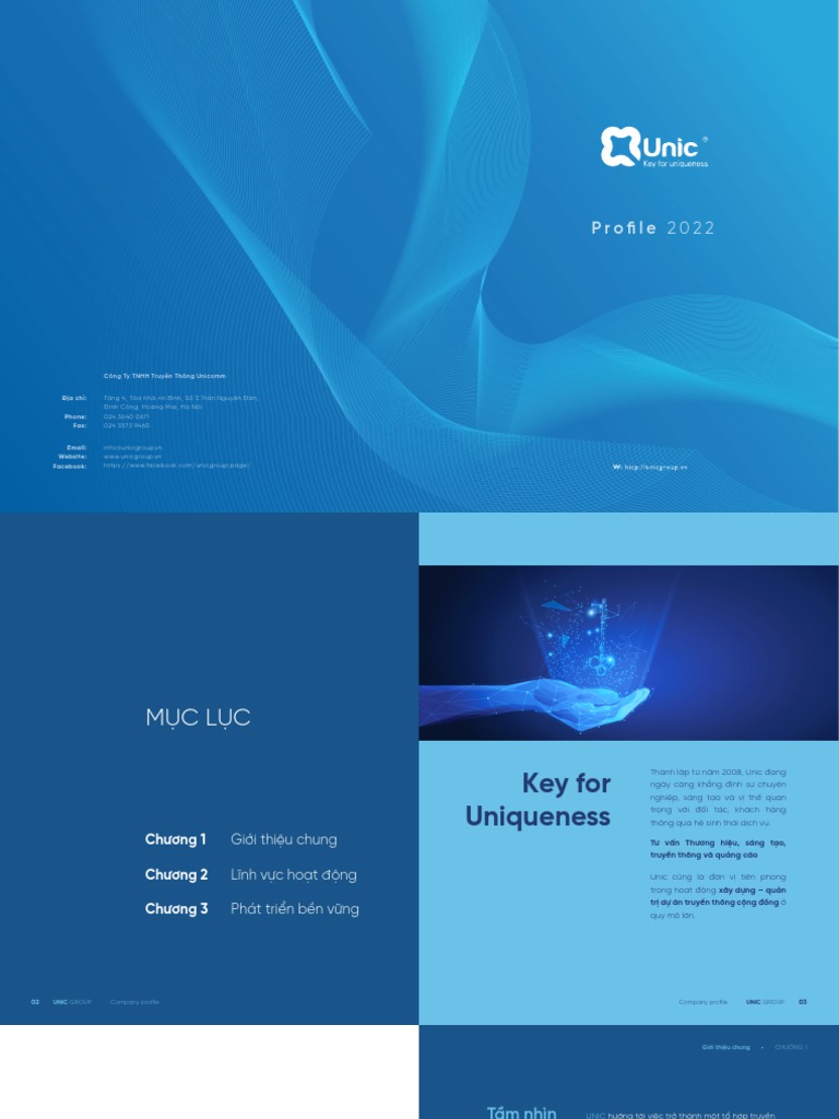 Profile Unic Group | PDF