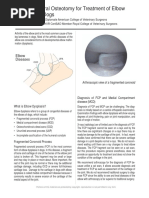 Ehmer Sling Application in Dogs | PDF | Hip | Skeletal System
