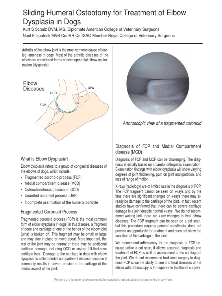 Elbow Dysplasia and Sliding Humeral Osteotomy Details | PDF