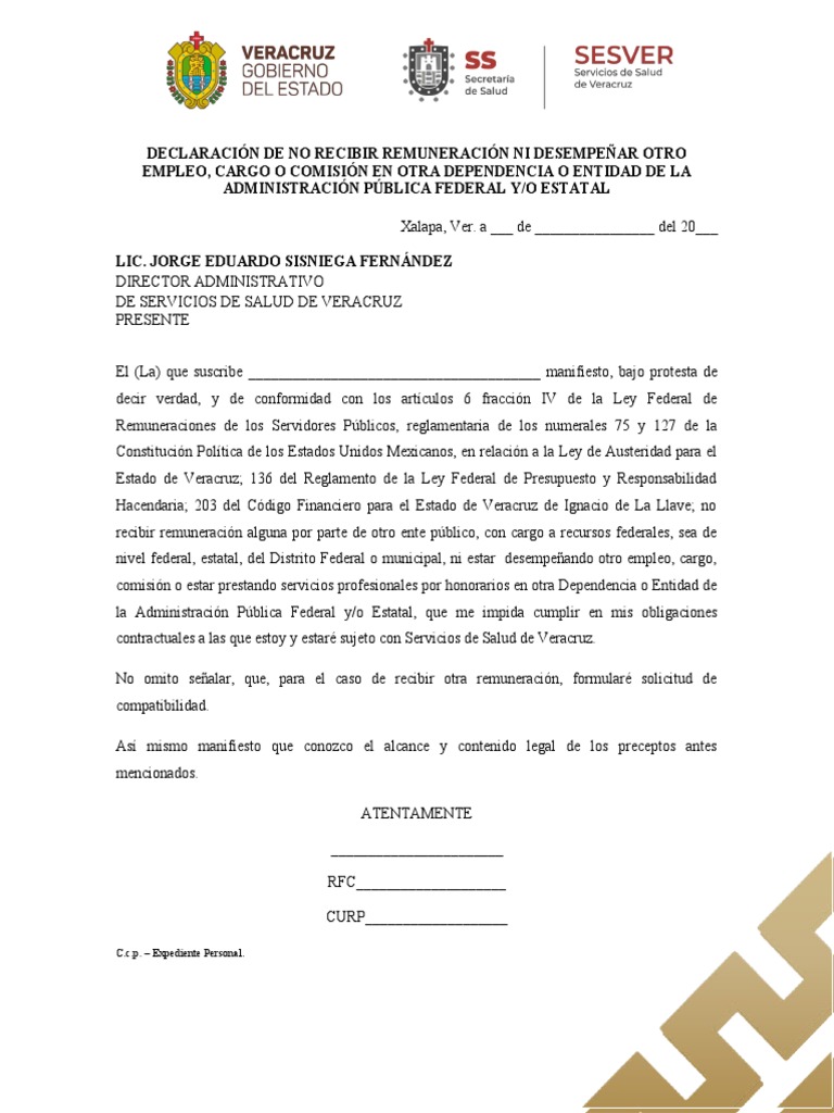 DAP03 Declaracion de No Desempenar Otro Empleo | PDF