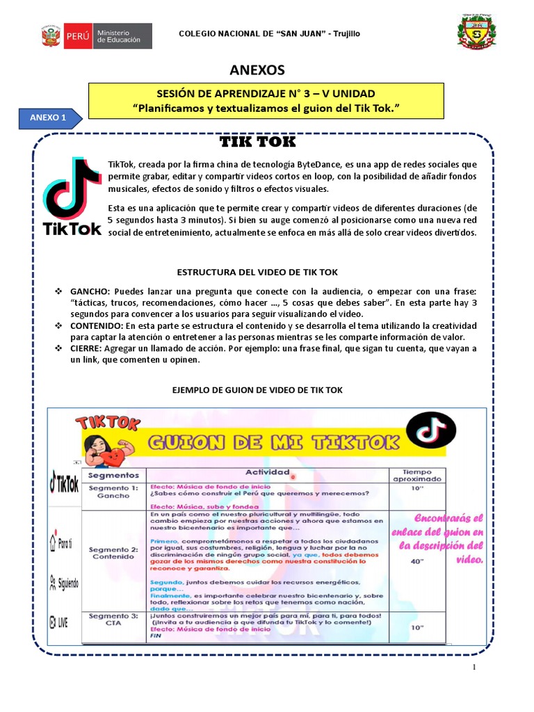 Estructura Y Guion Para Tiktok Pdf