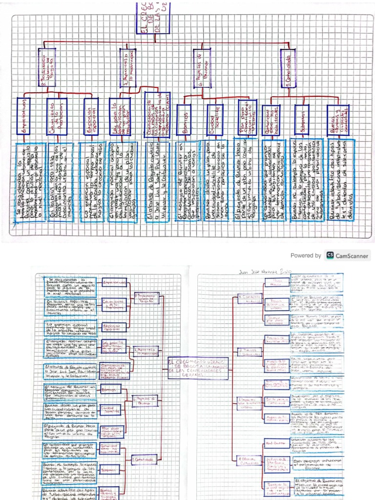 Mapa conceptual - Juan José Martínez Riaño | PDF