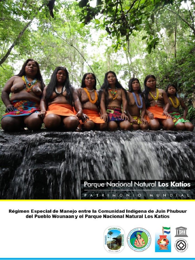 REM PNN Los Katios | PDF