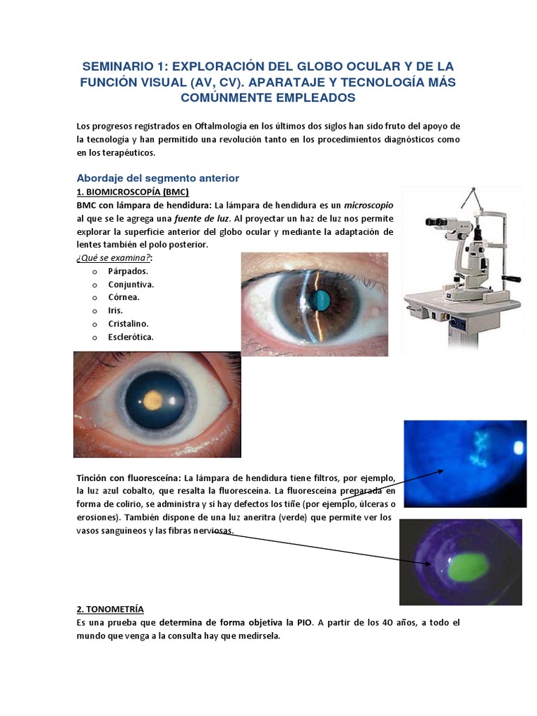 SEMINARIO 1. Exploración Del Globo Ocular y de La Funcion Visual | PDF | Glaucoma | Ojo humano