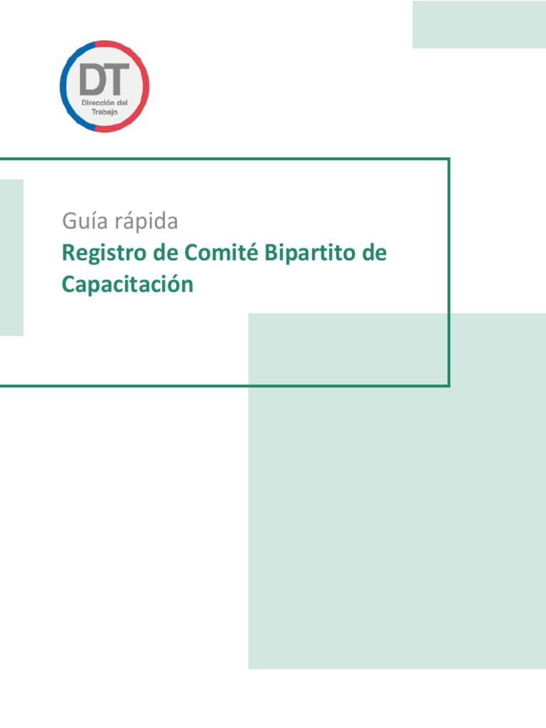 Guía Registro Comite Bipartito de Capacitación - Inspección Del Trabajo | PDF | Informática