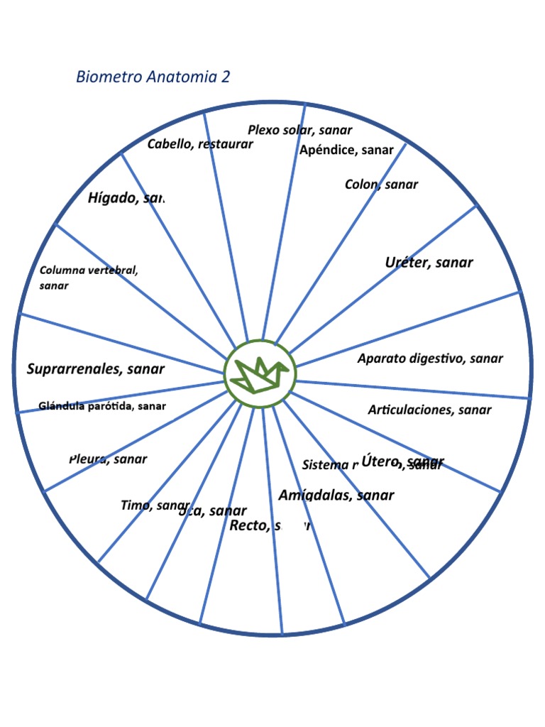 Biometro Anatomia 2 | PDF