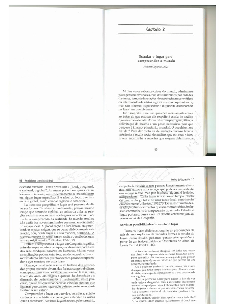 Helena Coppeti Callai | PDF