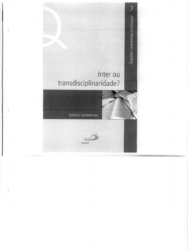 Livro - Américo Sommerman | PDF