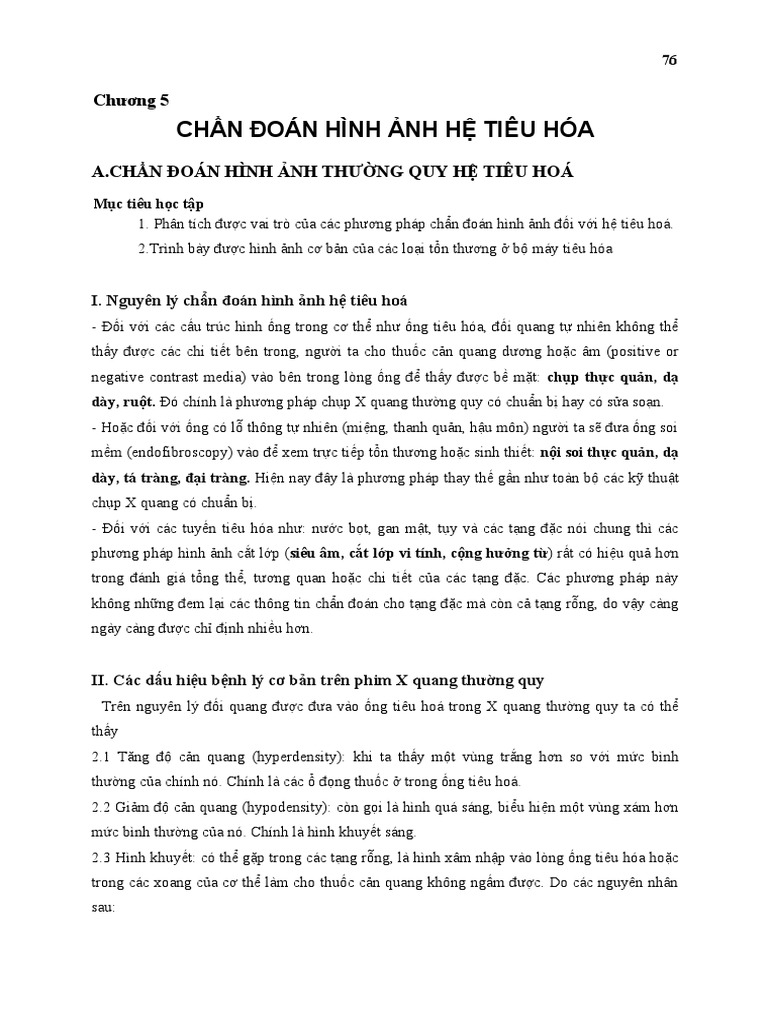 Chan Doan Hinh Anh He Tieu Hoa | PDF