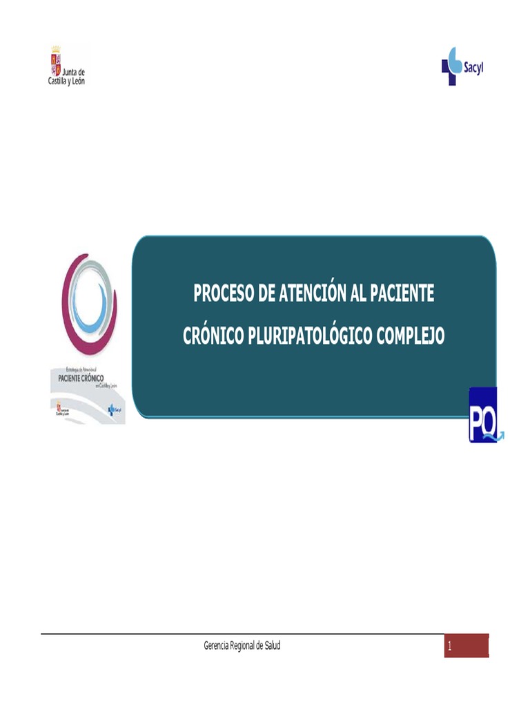 Proceso Atención Paciente Crónico Pluripatológico Complejo (Julio 2015 ...