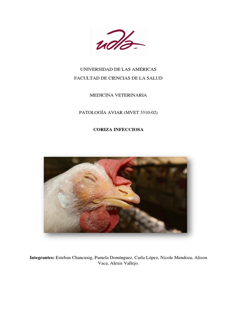 3310 Coriza Infecciosa G2 | Descargar gratis PDF | Patología | Aves