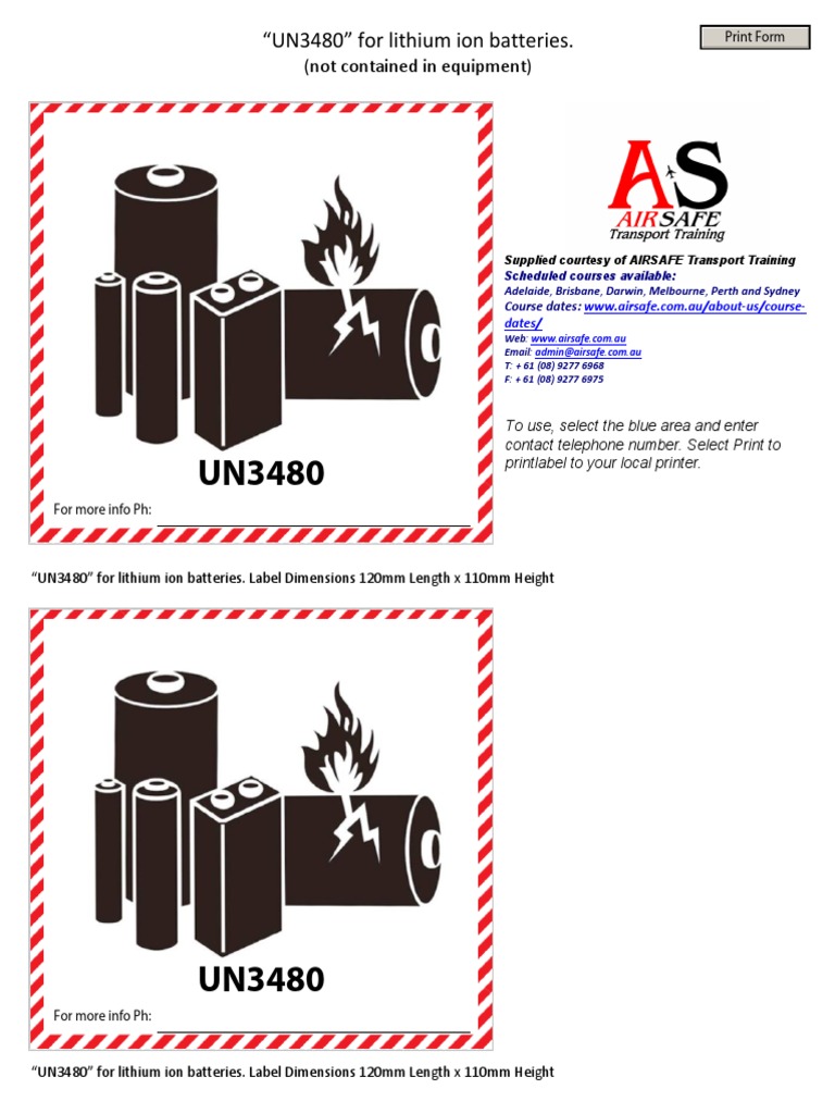 LITHIUM ION BATTERY LABELS 3480_1 | PDF | Energy Storage | Galvanic Cells