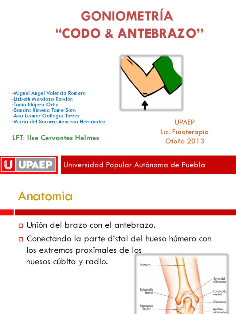 Goniometría - Codo y Antebrazo - UPAEP - Puebla - México 2013 | PDF | Codo | Hombro