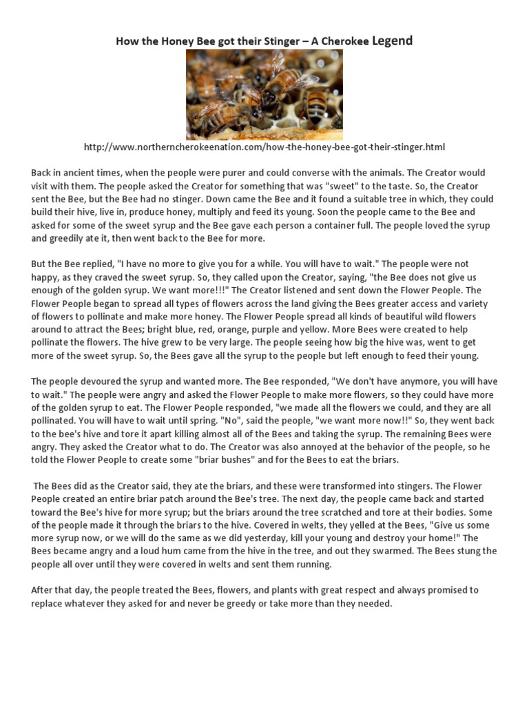 How The Honey Bee Got Their Stinger | PDF | Honey Bee | Honey