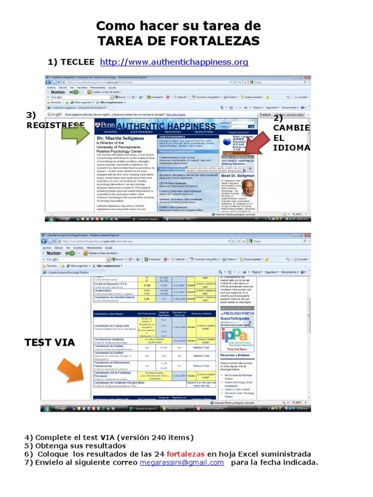 Como Hacer Test VIA Fortalezas | PDF